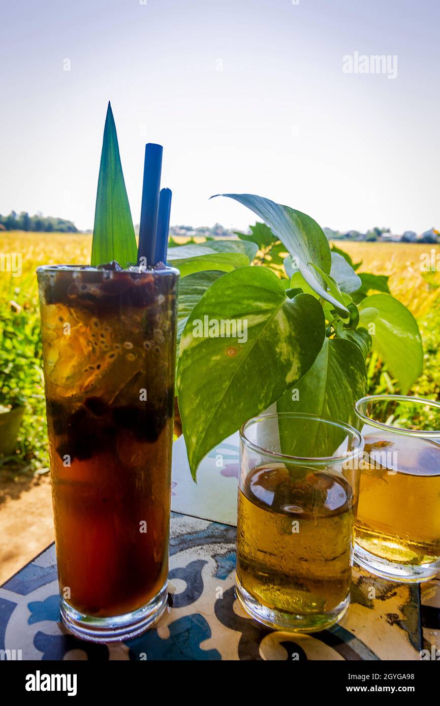Beautiful view having a ice tea at a rice field cafe in Hoi An Stock ...