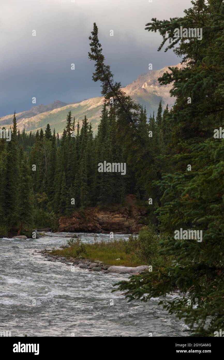 RILEY CREEK is near a campground at the entrance to DENALI NATIONAL ...