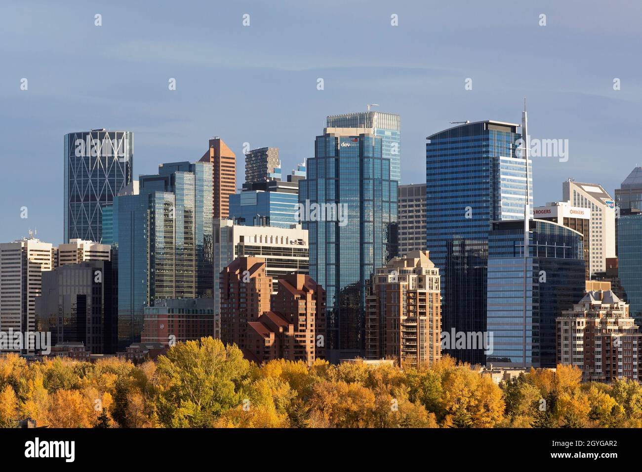 Calgary cityscape with skyscrapers downtown and trees in autumn foliage ...