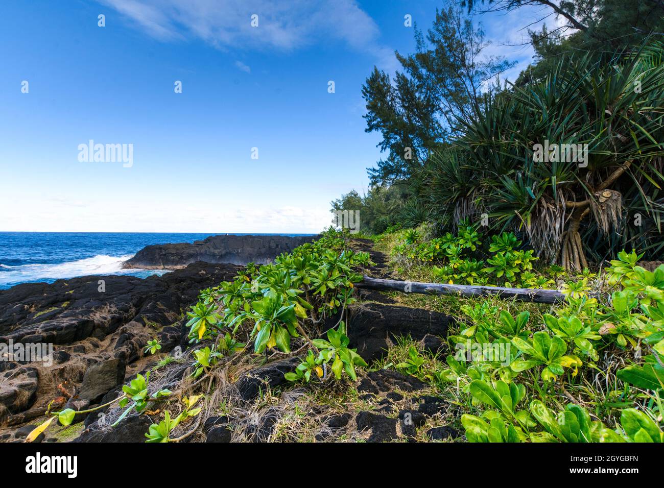 Nature and volcanic rocks in the south coast of Reunion Island during a ...