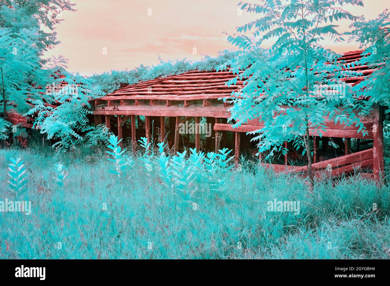 Barn birdhouse hi-res stock photography and images - Alamy