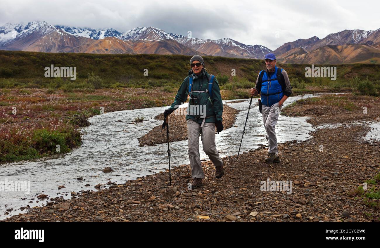 Hikers in the Polychrome area where streams drain the Toklat River ...