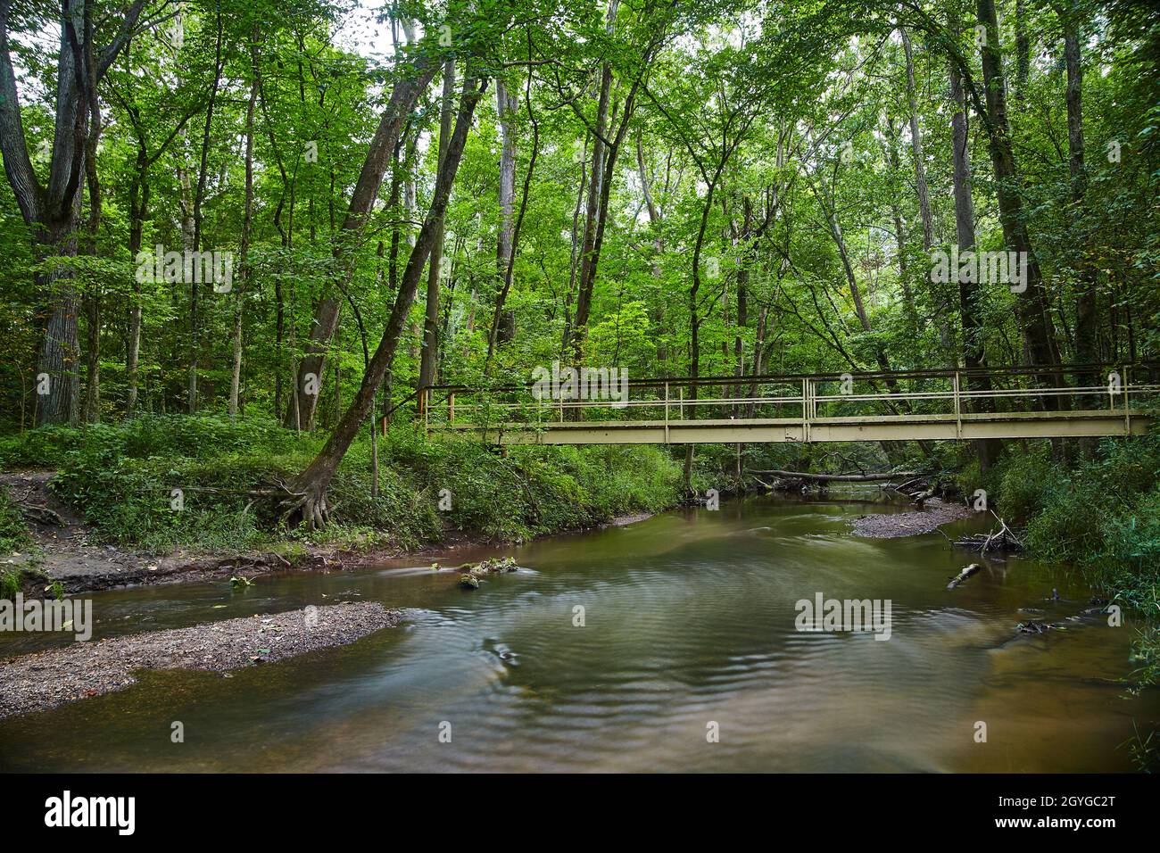 Ripples across a stream or river in a forest with a wooden and metal ...