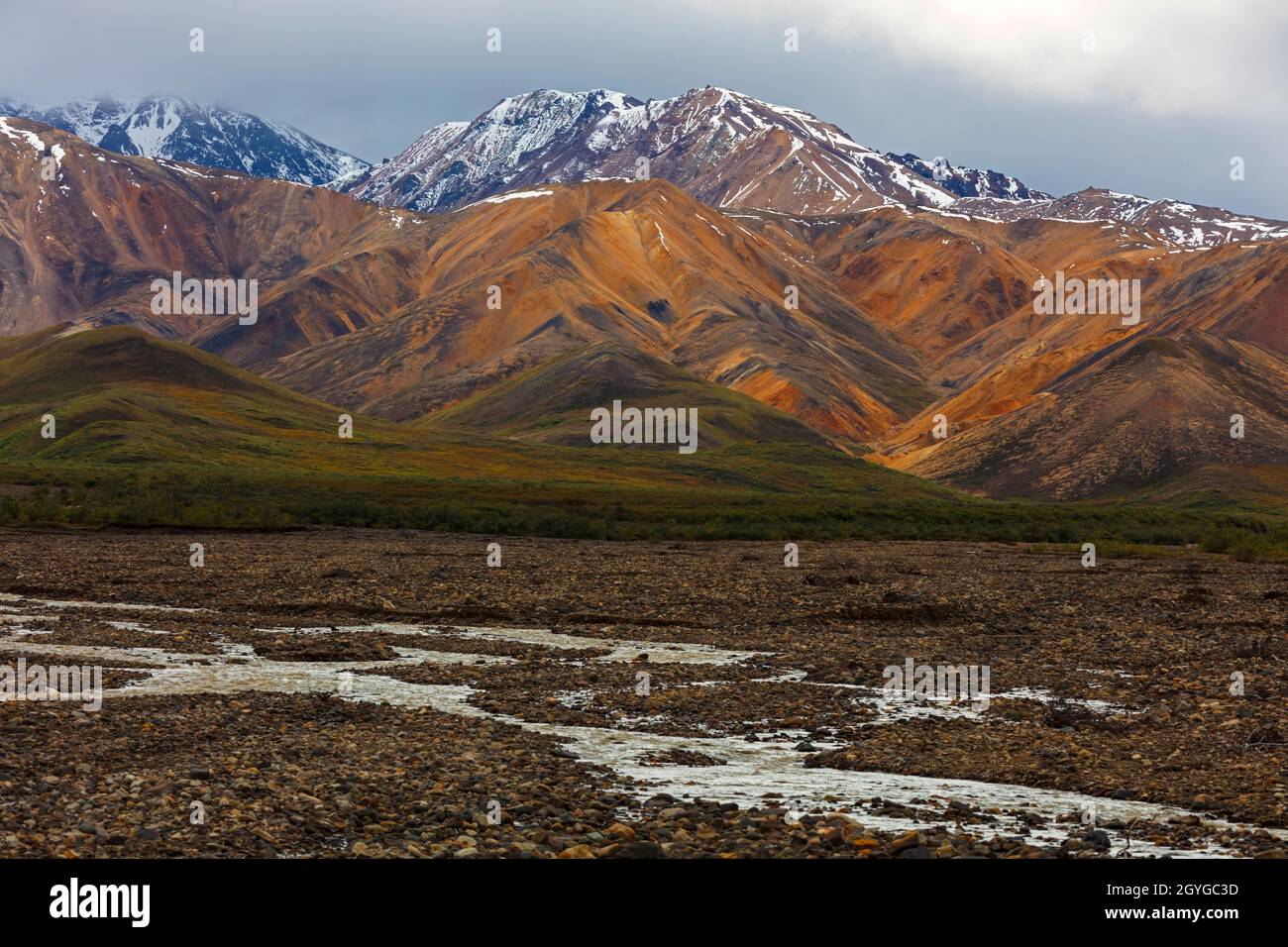 Meandering streams drain the Polychrome area draining the Toklat River ...