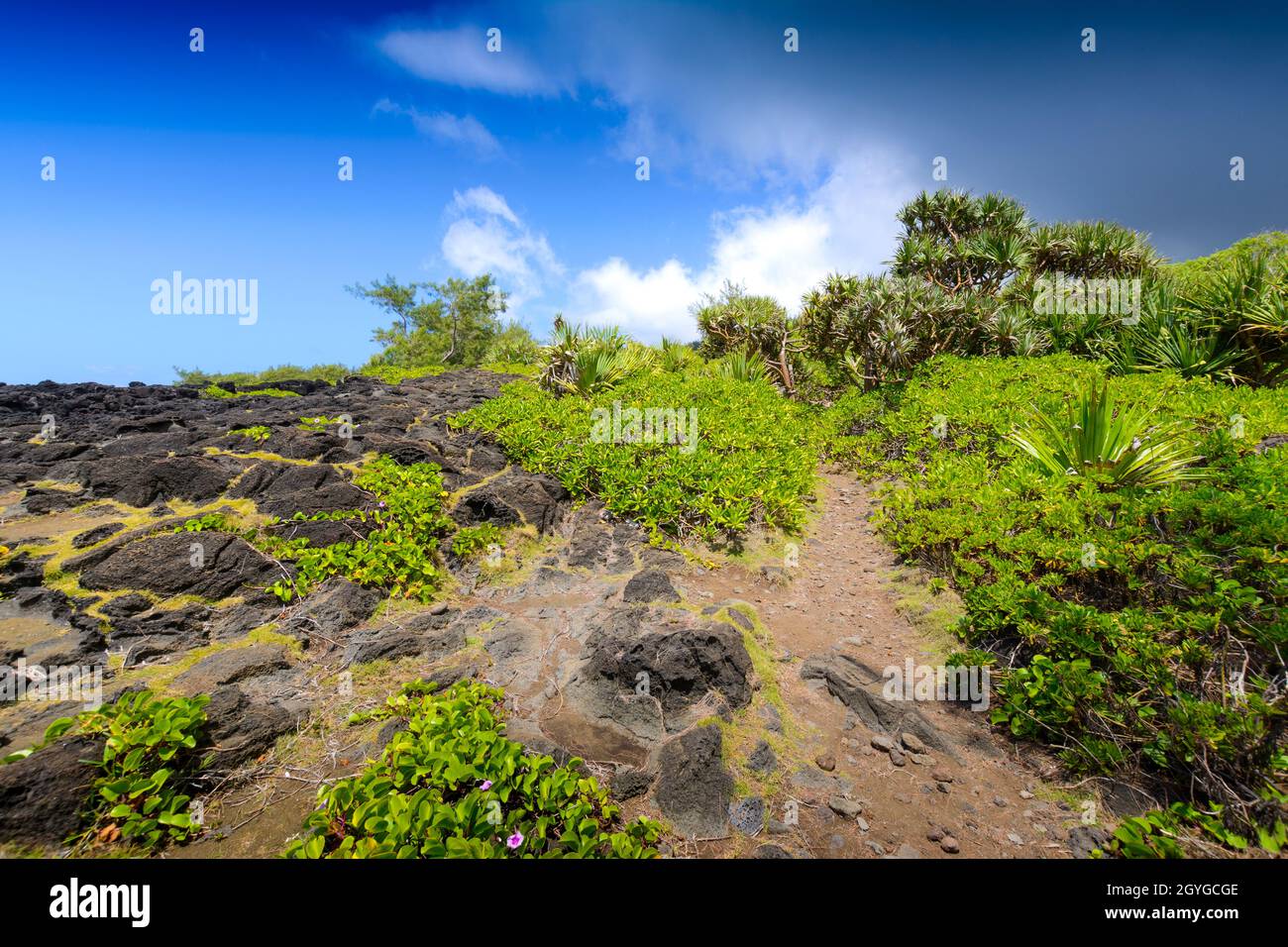 Typical landscape with volcanic rock at Reunion Island Stock Photo - Alamy