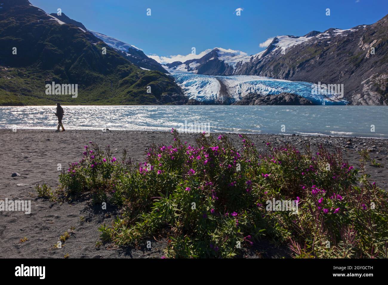 PORTAGE GLACIER and Lake as seen from the Portage Pass Trail - KENAI ...