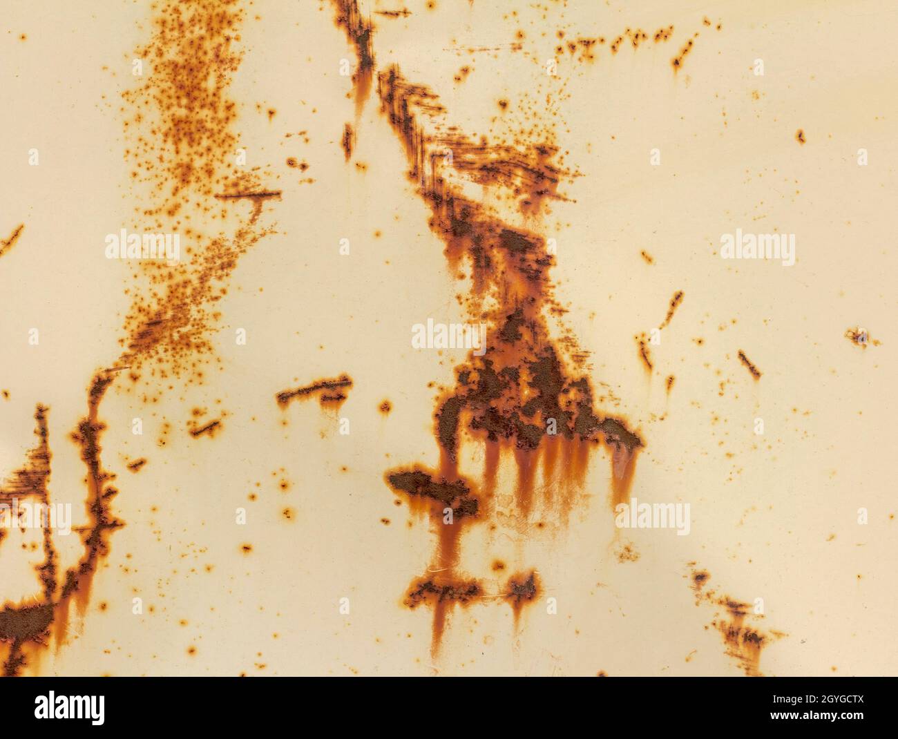 A rusty white metal wall. Metal background with streaks and rust spots ...