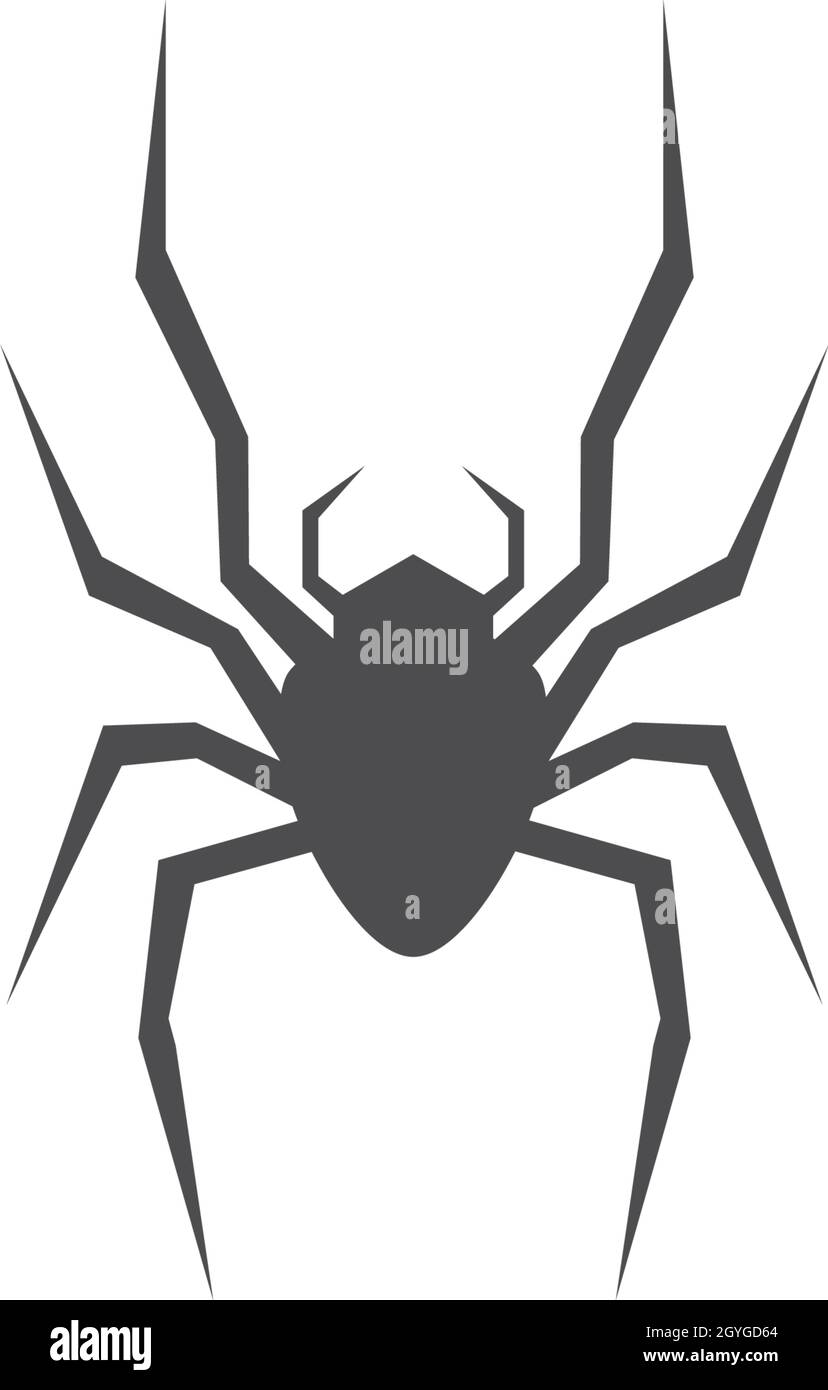 spider logo vector for business Stock Vector Image & Art - Alamy