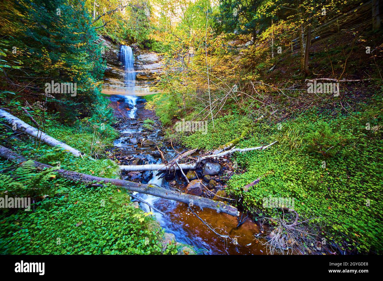 Fallen trees across water hi-res stock photography and images - Alamy