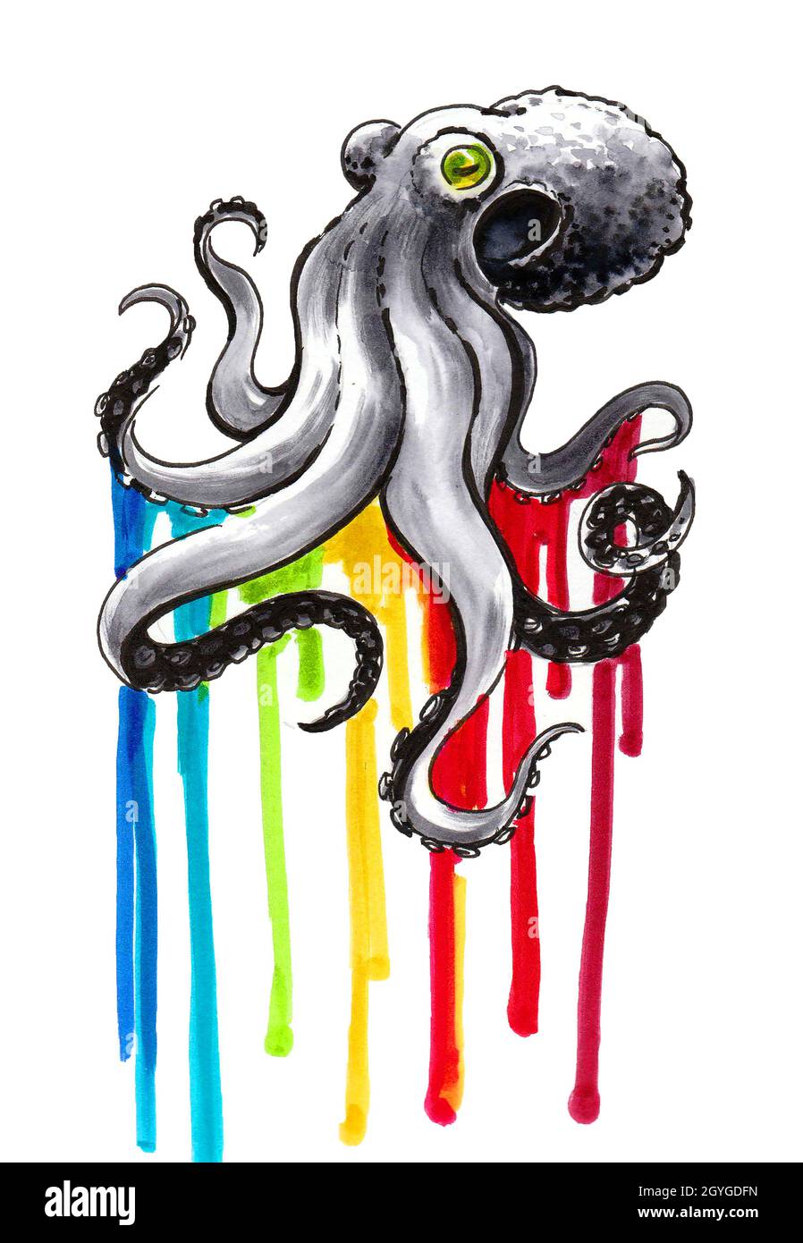 Colorful Octopus Drawings