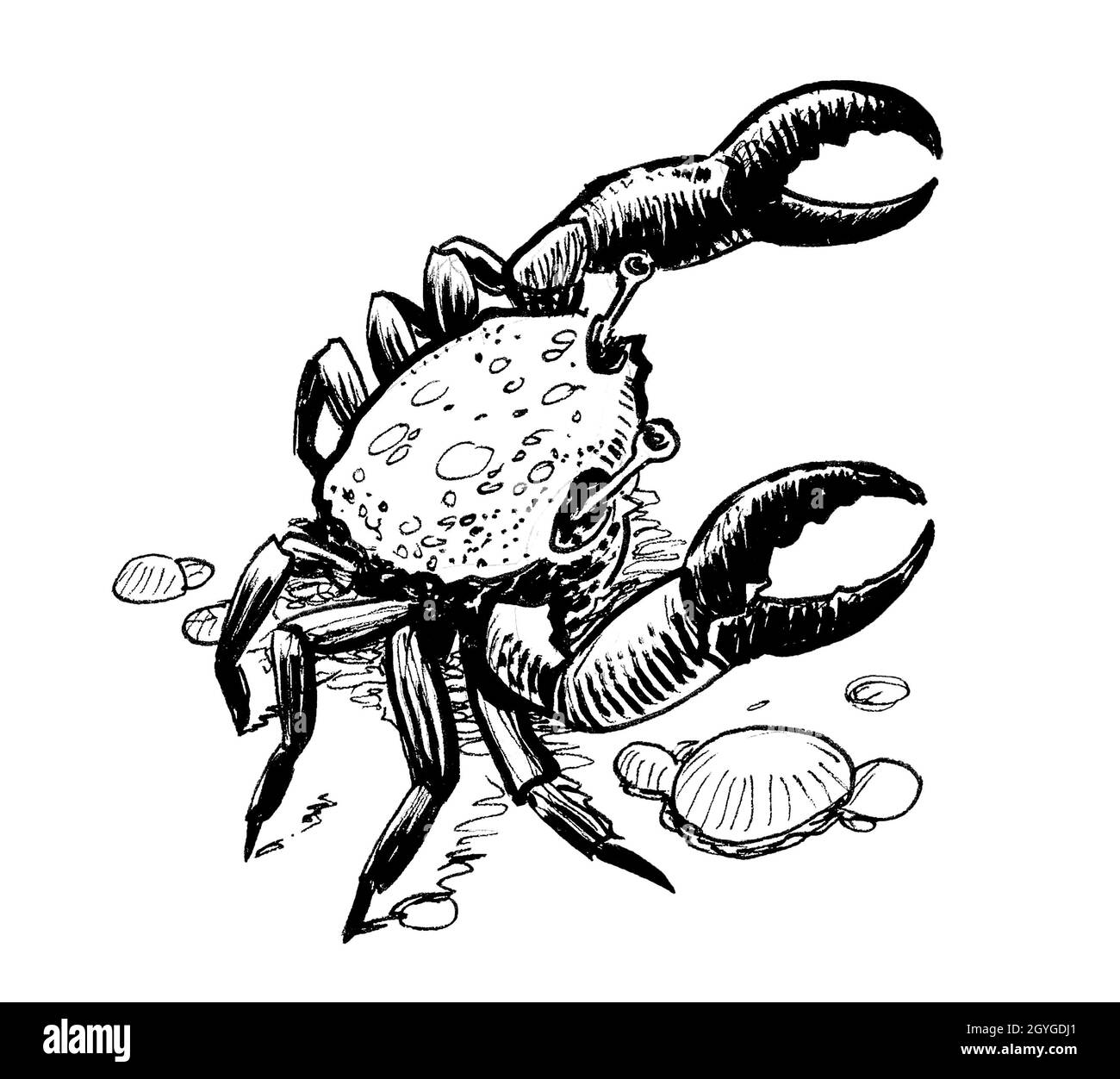 Ocean Crab Drawing
