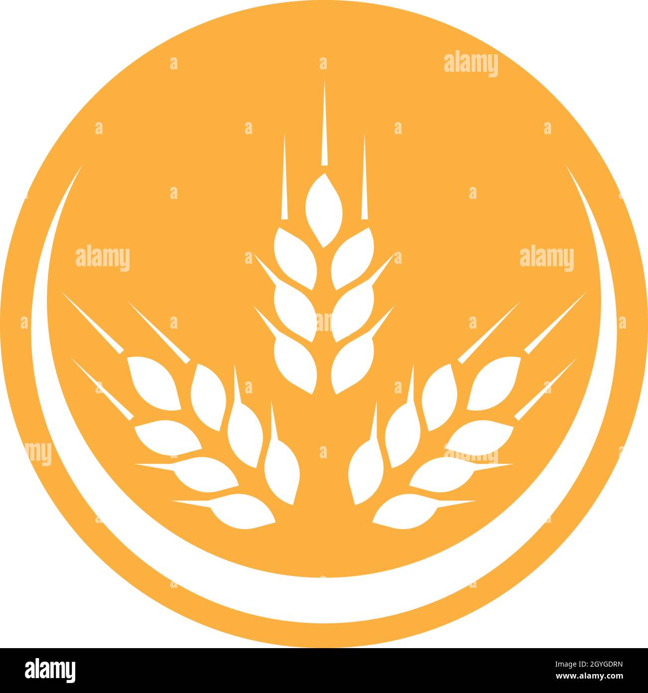 wheat Logo Template vector icon design Stock Vector Image & Art - Alamy