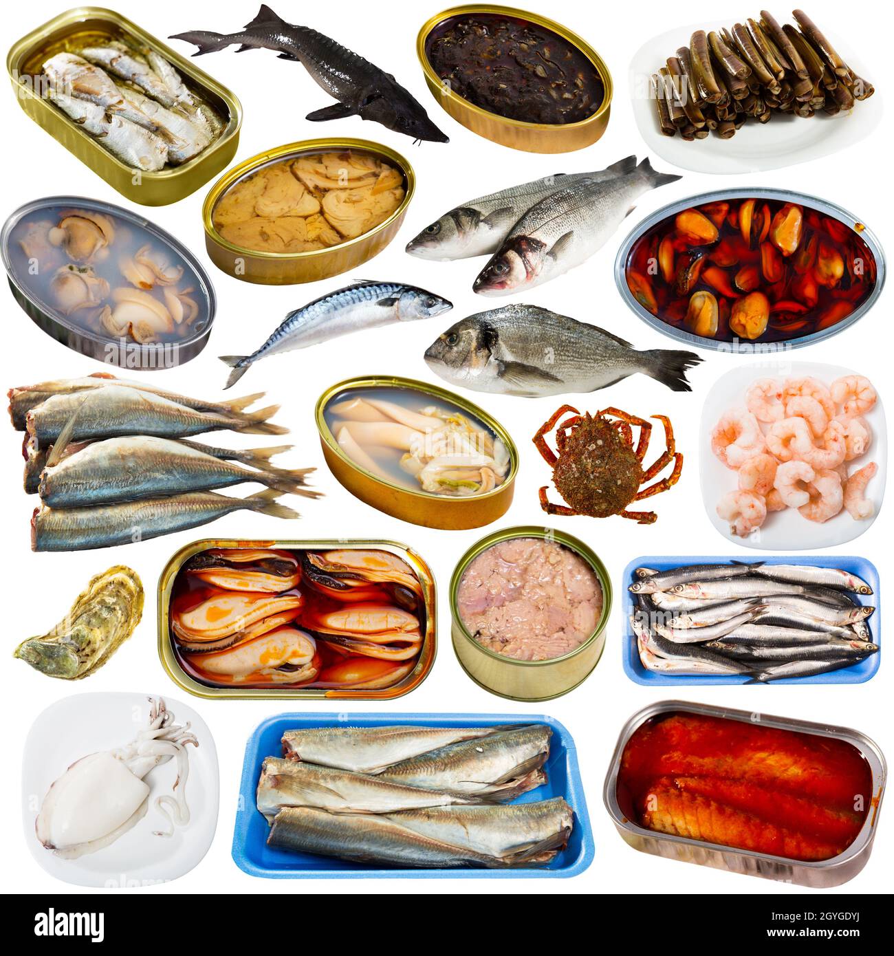 Set of assorted raw fish and seafoods Stock Photo - Alamy