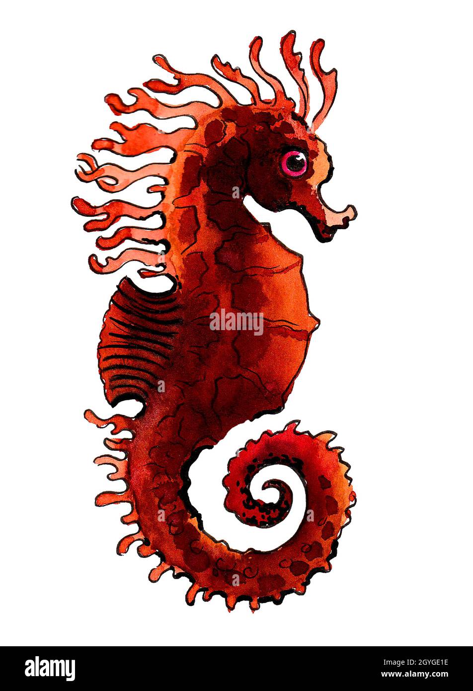 Red Seahorse