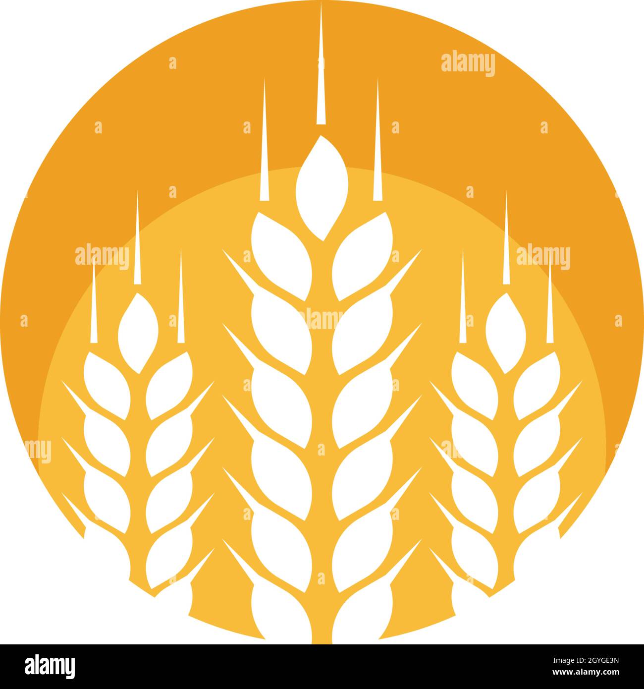 wheat Logo Template vector icon design Stock Vector Image & Art - Alamy