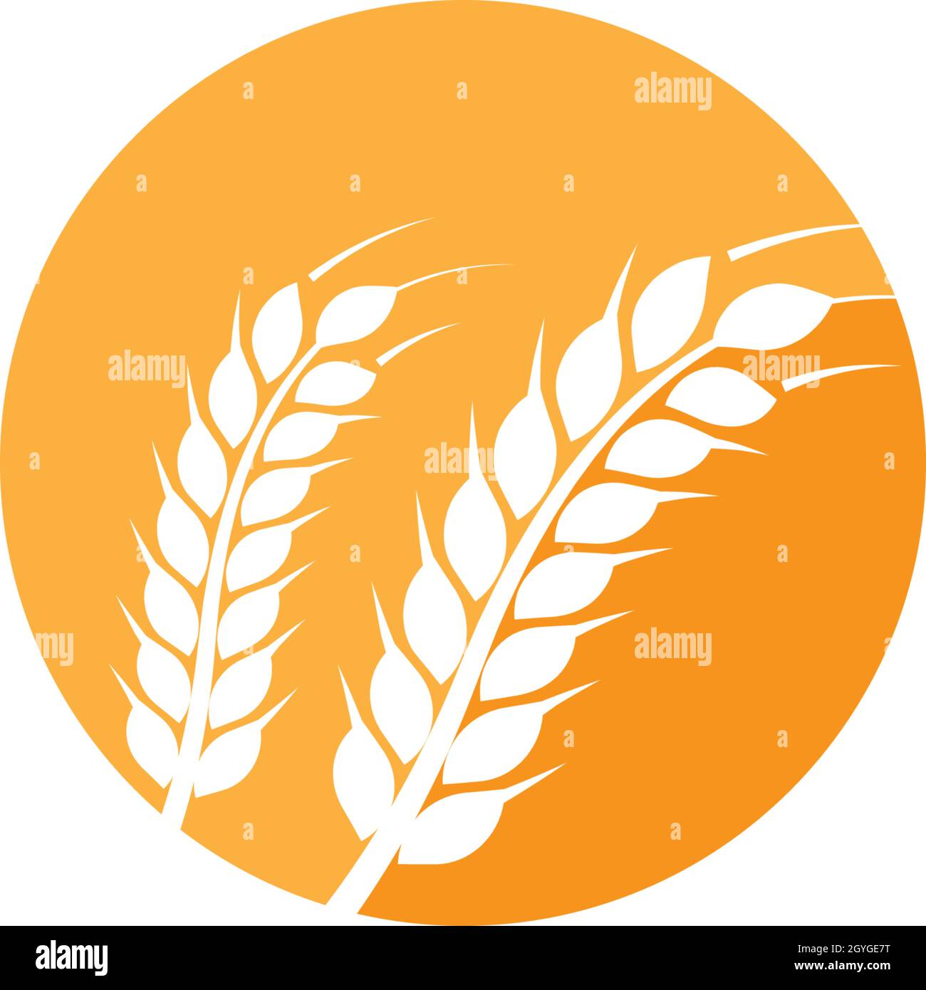 wheat Logo Template vector icon design Stock Vector Image & Art - Alamy