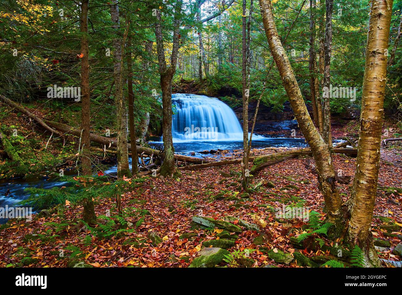 Rock River Falls white waterfall that leads into a forest strewn with ...