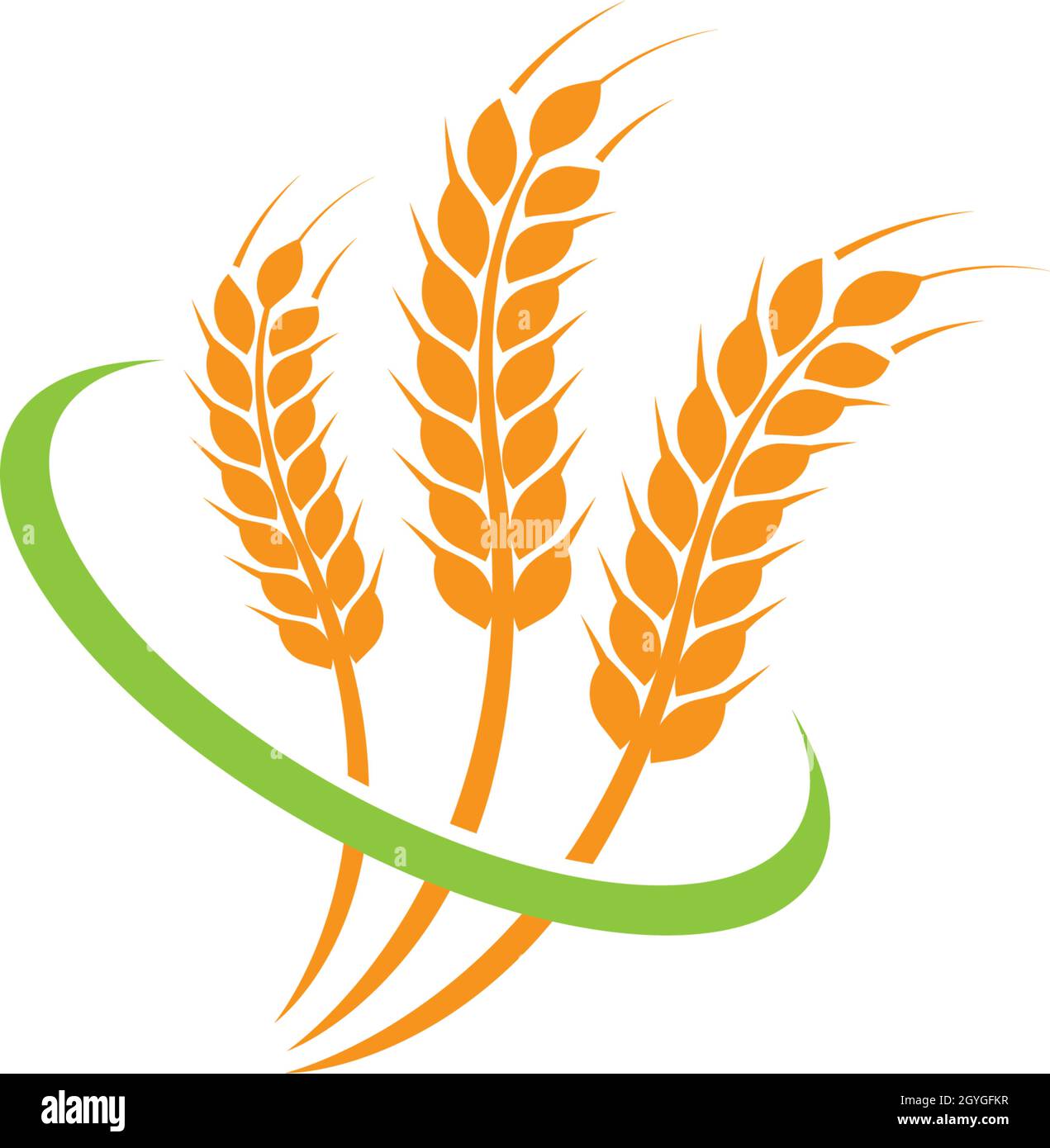 wheat Logo Template vector icon design Stock Vector Image & Art - Alamy