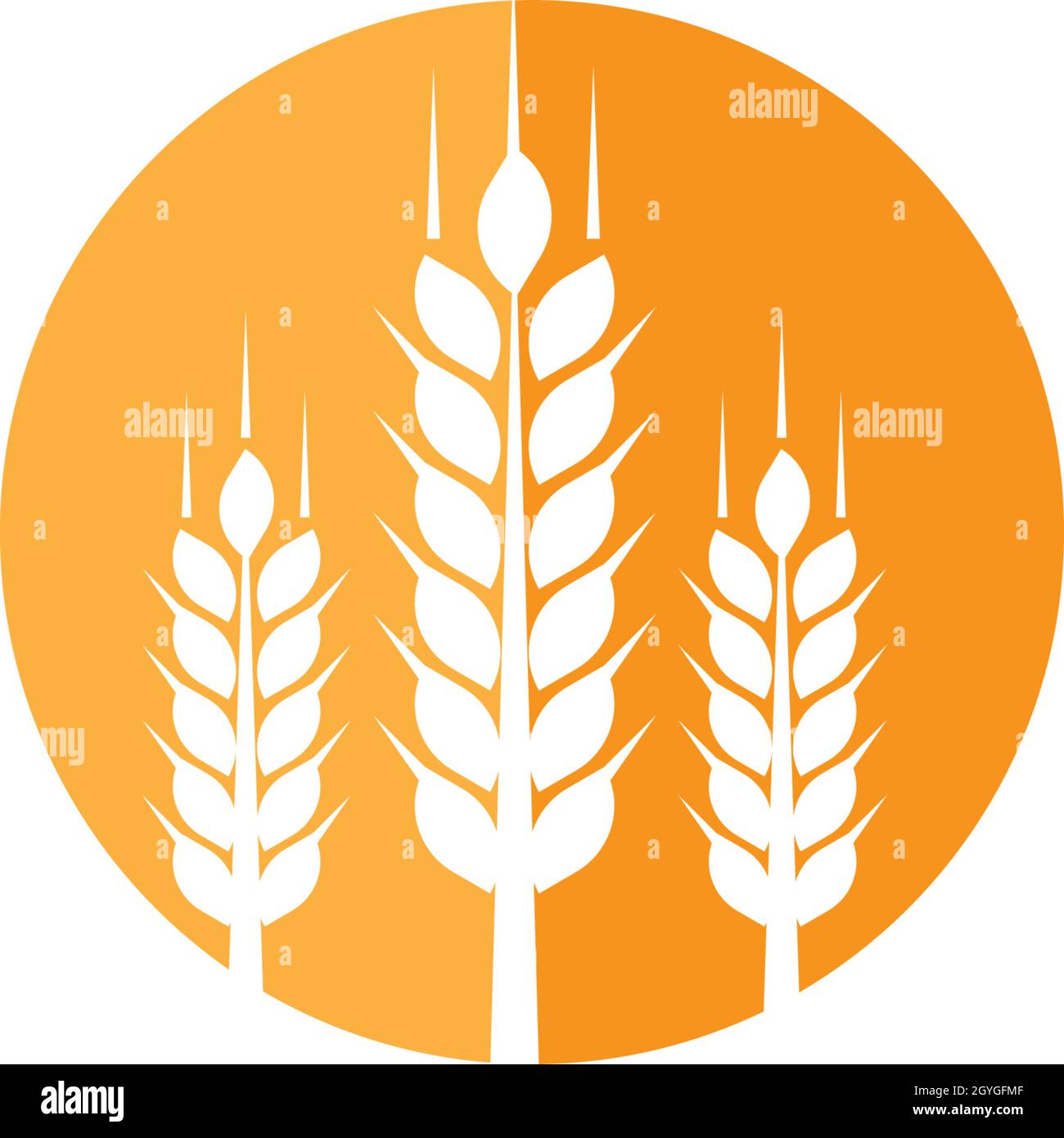 Closeup wheat farm Stock Vector Images - Alamy