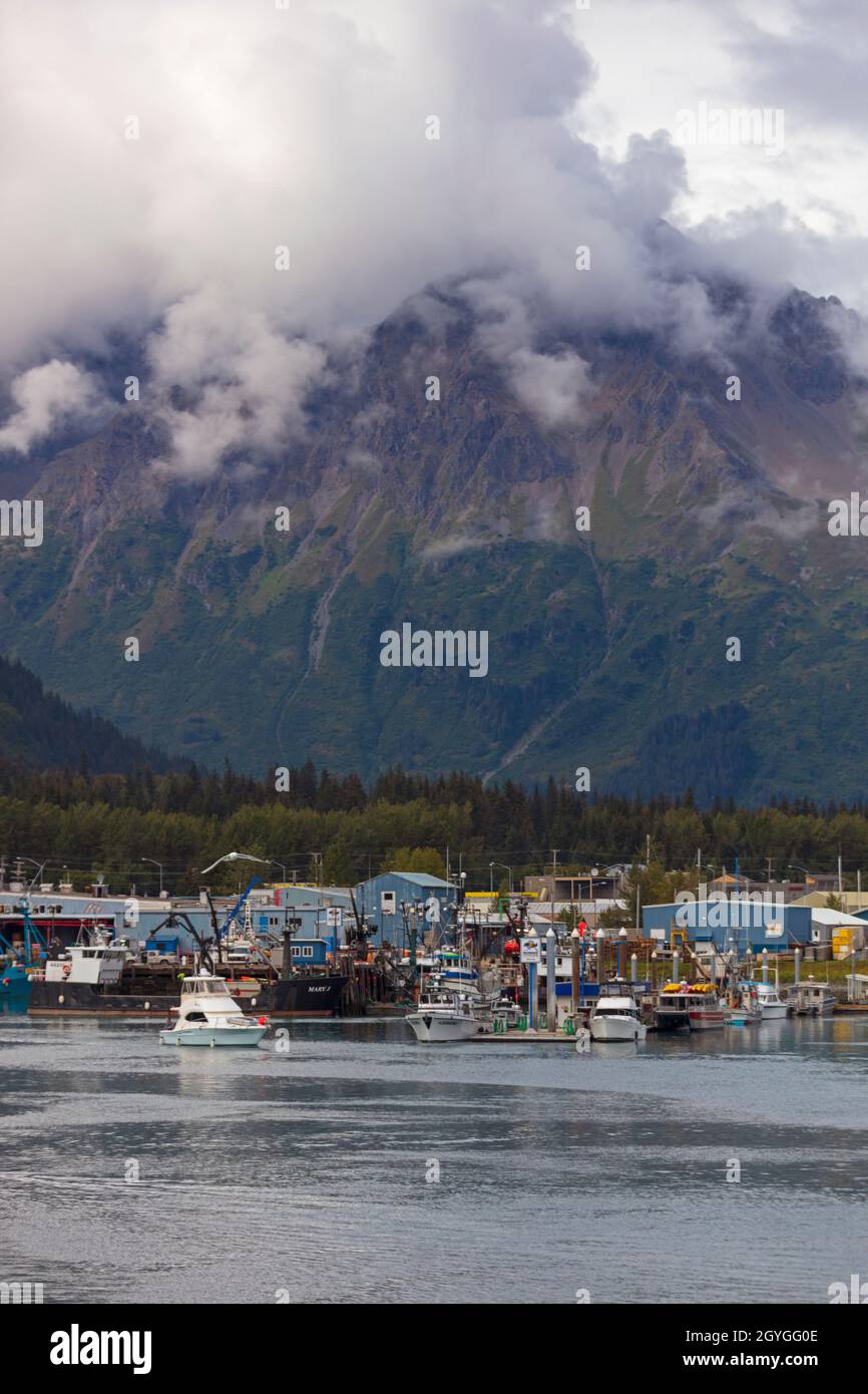 SEWARD HARBOR is home to fishing boats, yachts and an olympic swimmer ...