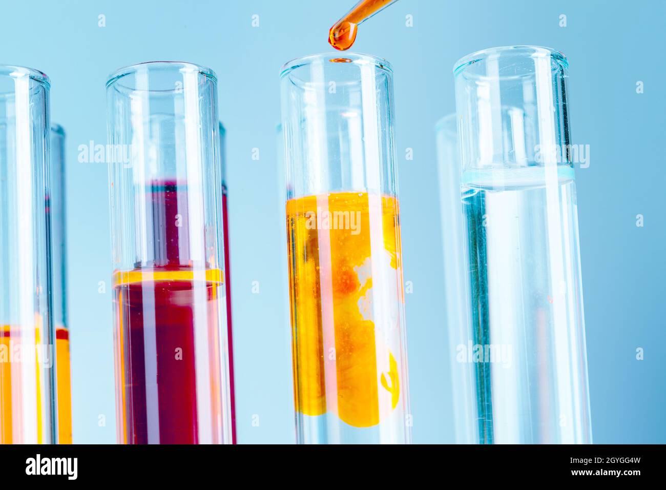 Laboratory test tubes with red and yellow liquids on light blue ...
