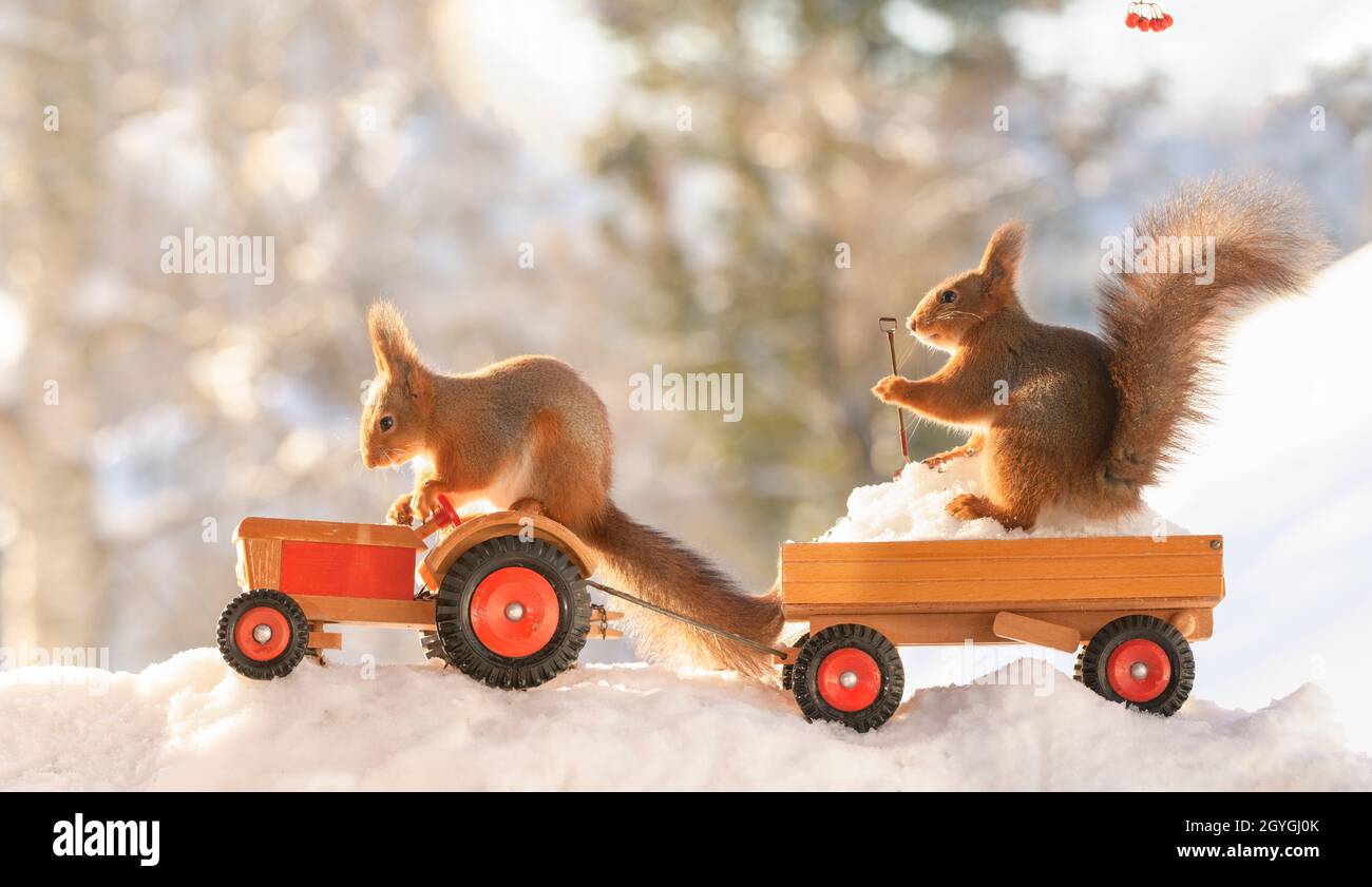 Wagon balance hi-res stock photography and images - Alamy