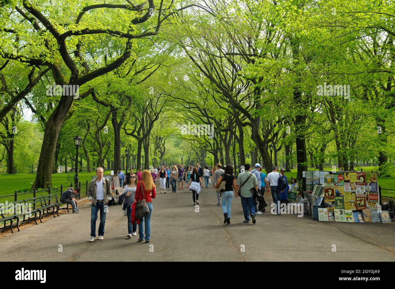 UNITED STATES, NEW YORK, MANHATTAN, CENTRAL PARK, THE MALL AND LITERARY ...
