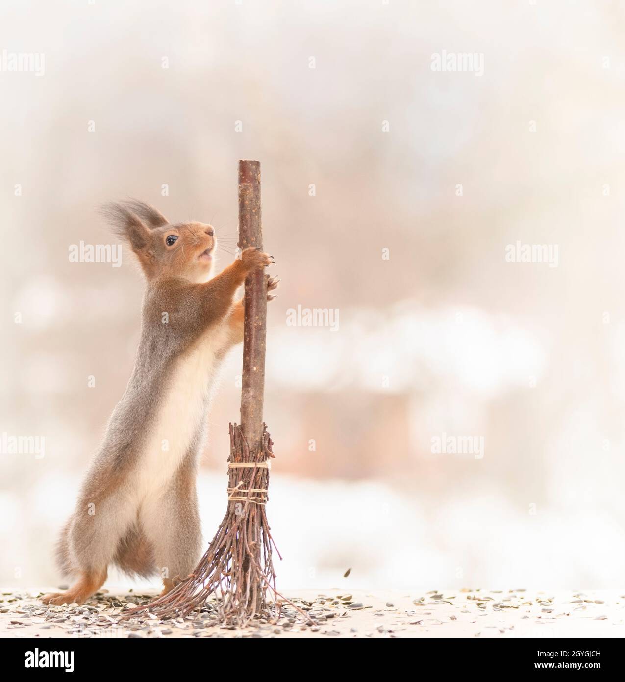 Hold broom hi-res stock photography and images - Alamy