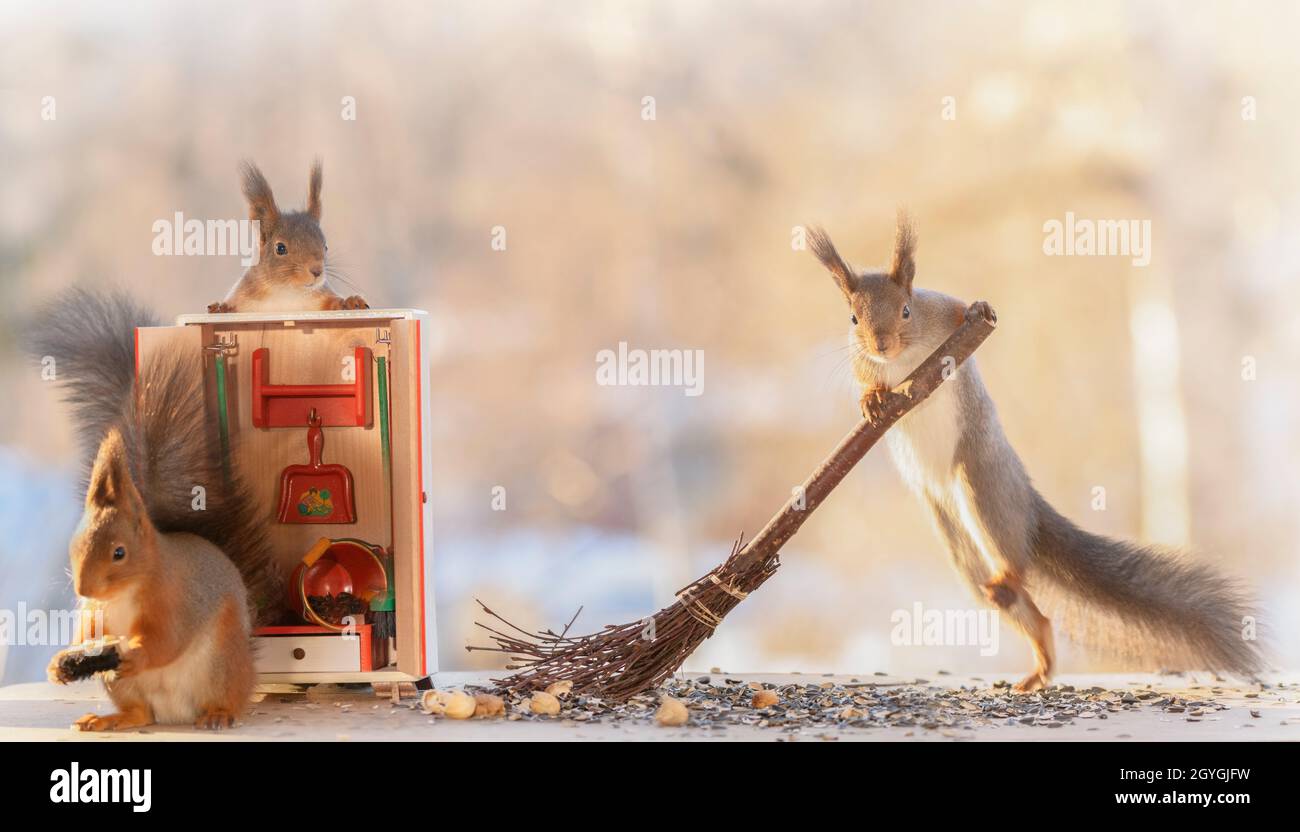 Cleaner closet hi-res stock photography and images - Alamy