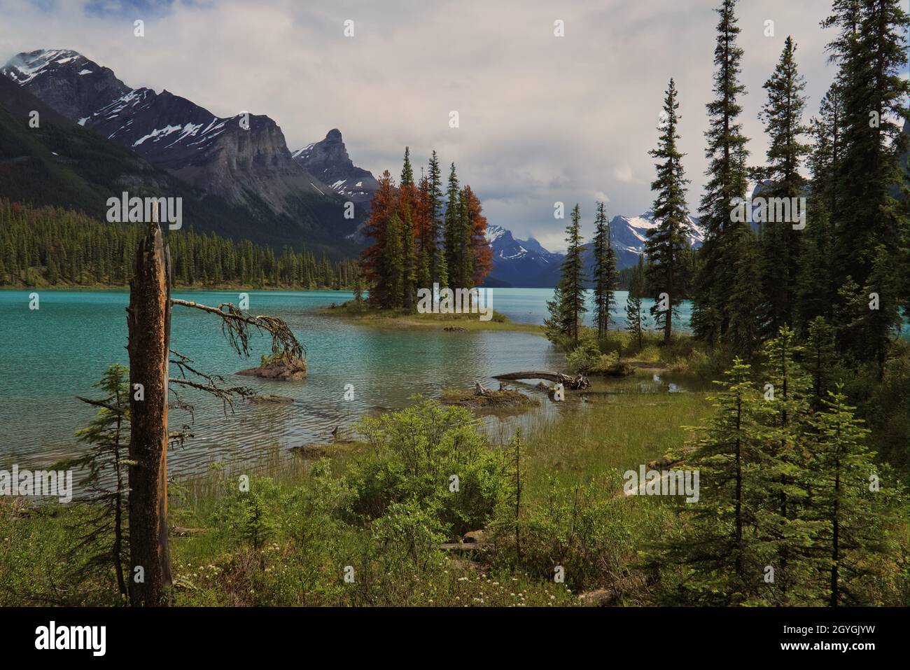 Colourful trees sit on island in mountain lake (Spirit Island in ...