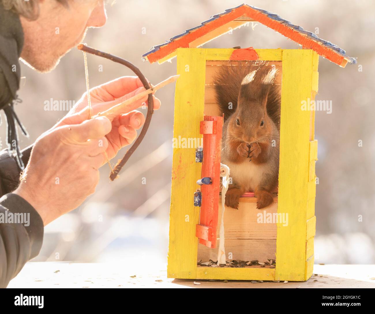 Squirrel and arrow hi-res stock photography and images - Alamy