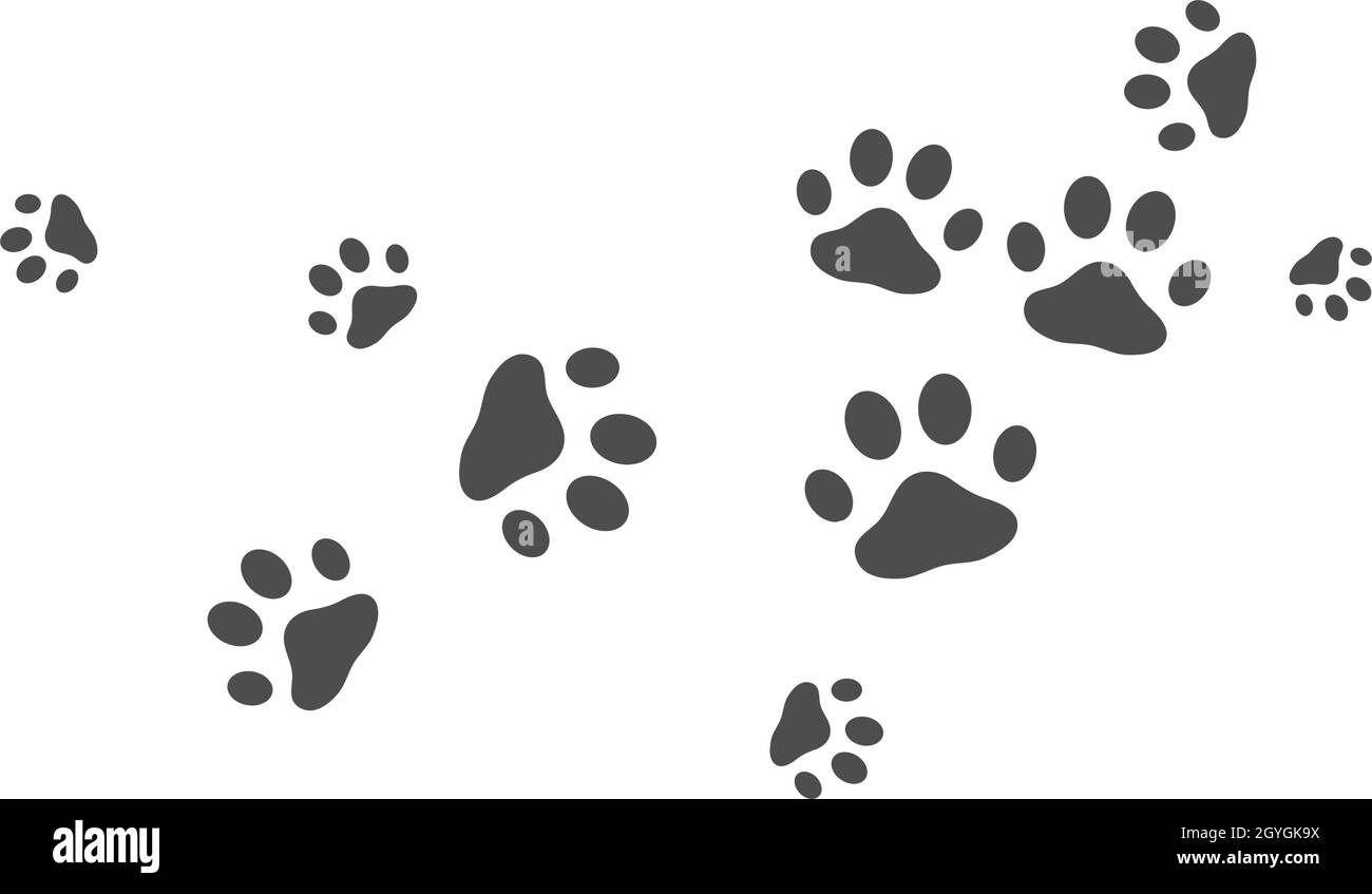Paw background template vector Stock Vector Image & Art - Alamy