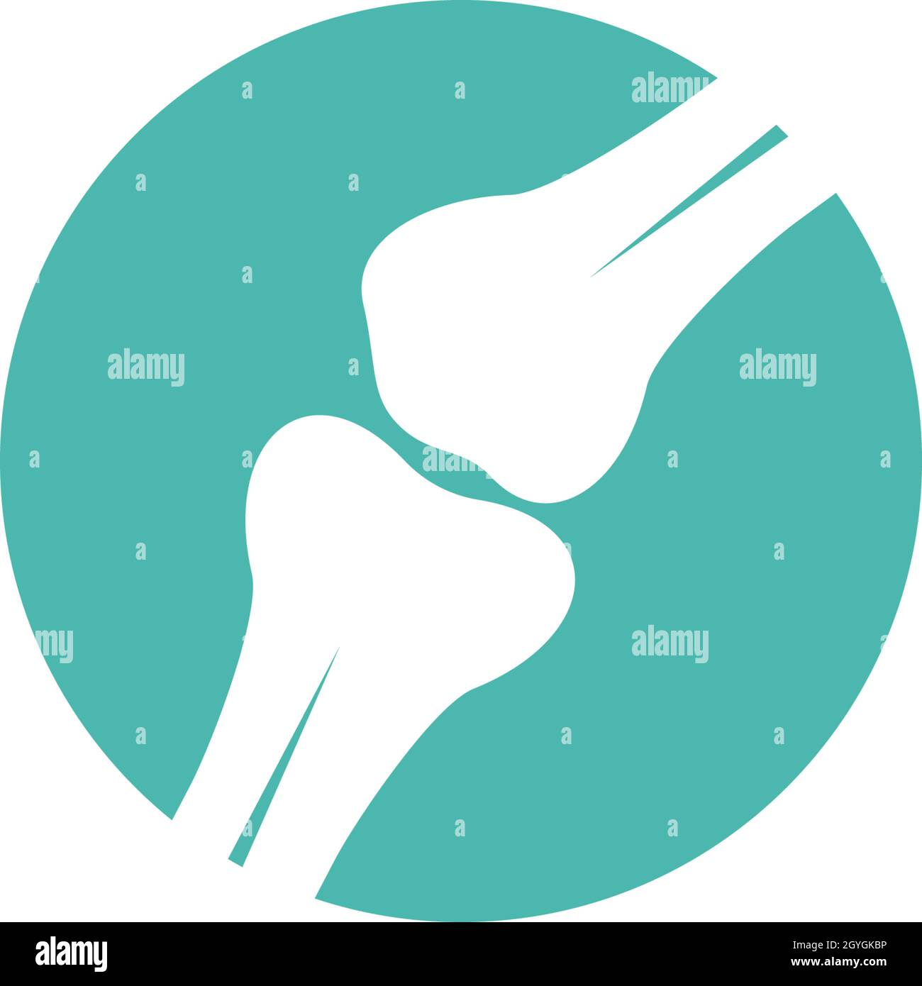 Bone logo vector template Stock Vector Image & Art - Alamy