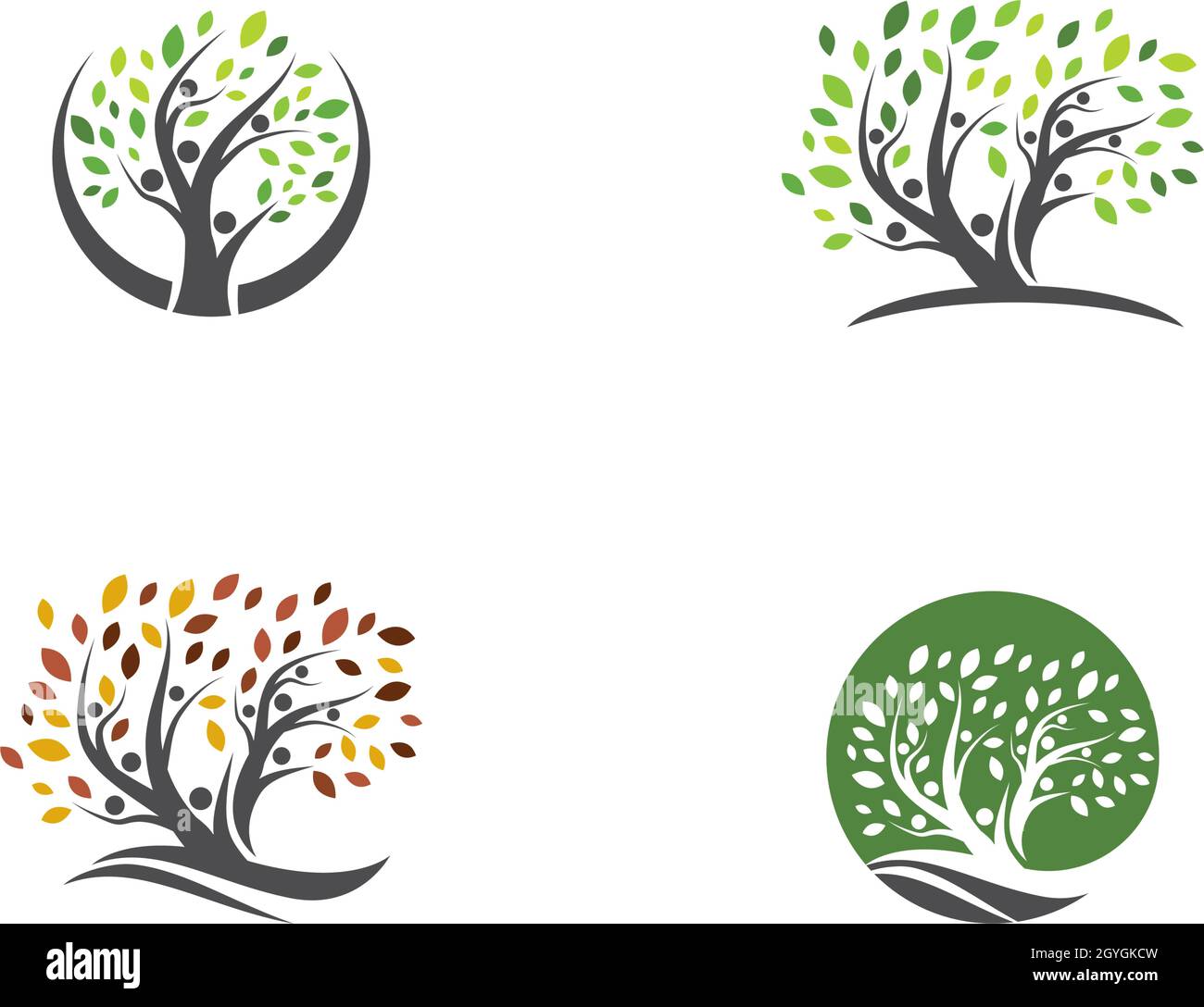 family tree logo template vector illustration Stock Vector Image & Art ...