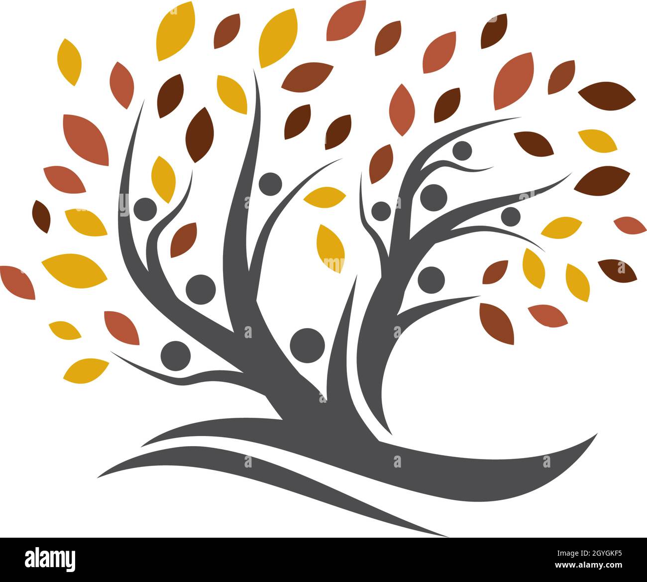 family tree logo template vector illustration Stock Vector Image & Art ...