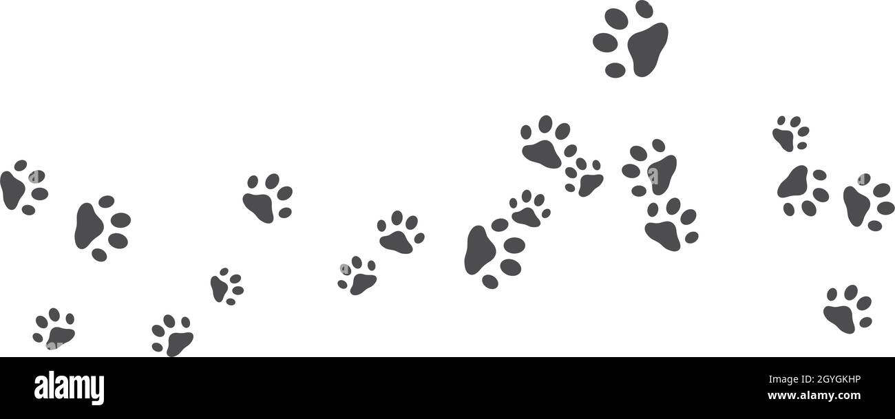 Paw background template vector Stock Vector Image & Art - Alamy