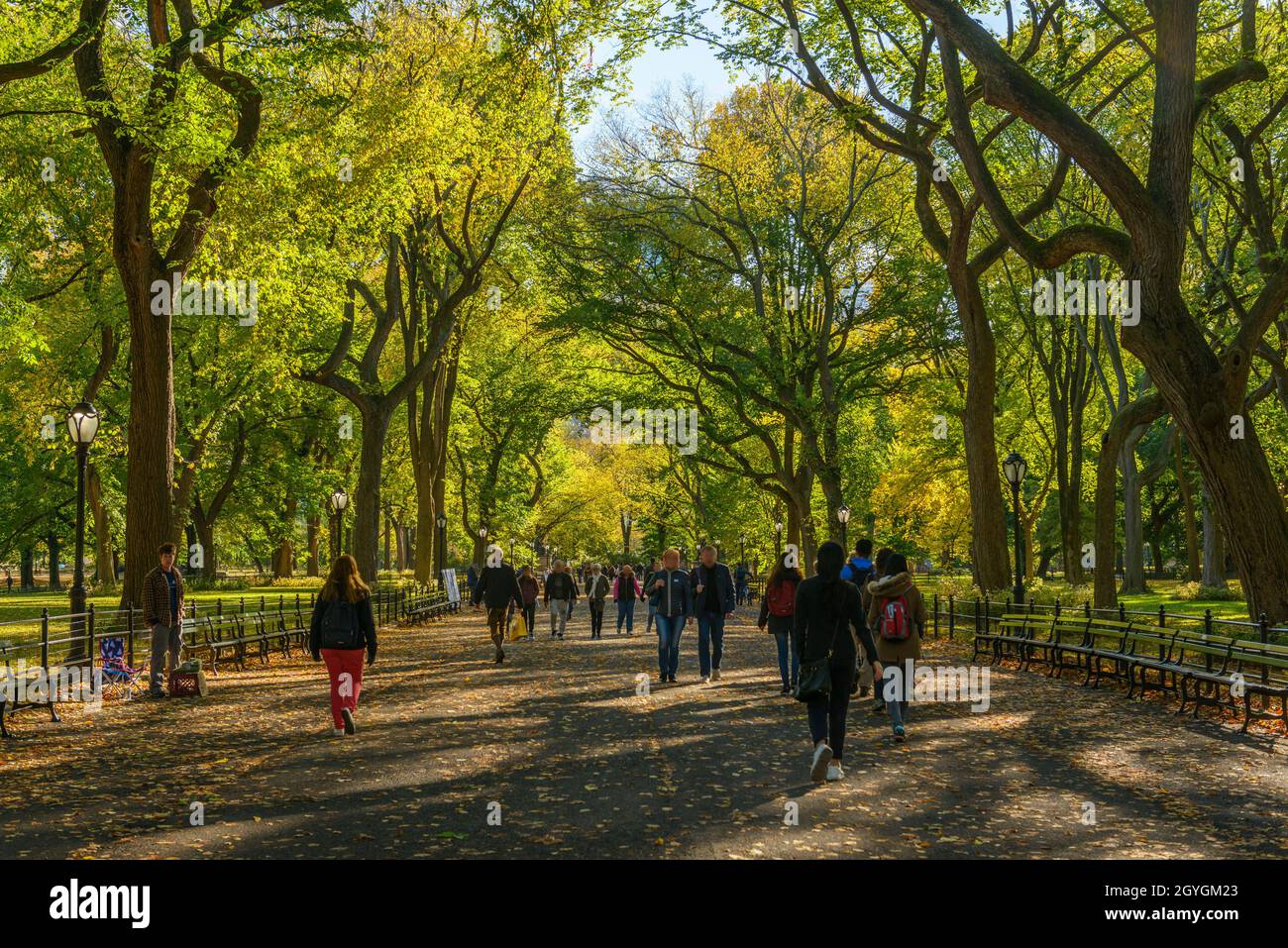 Central park mall literary walk hi-res stock photography and images - Alamy