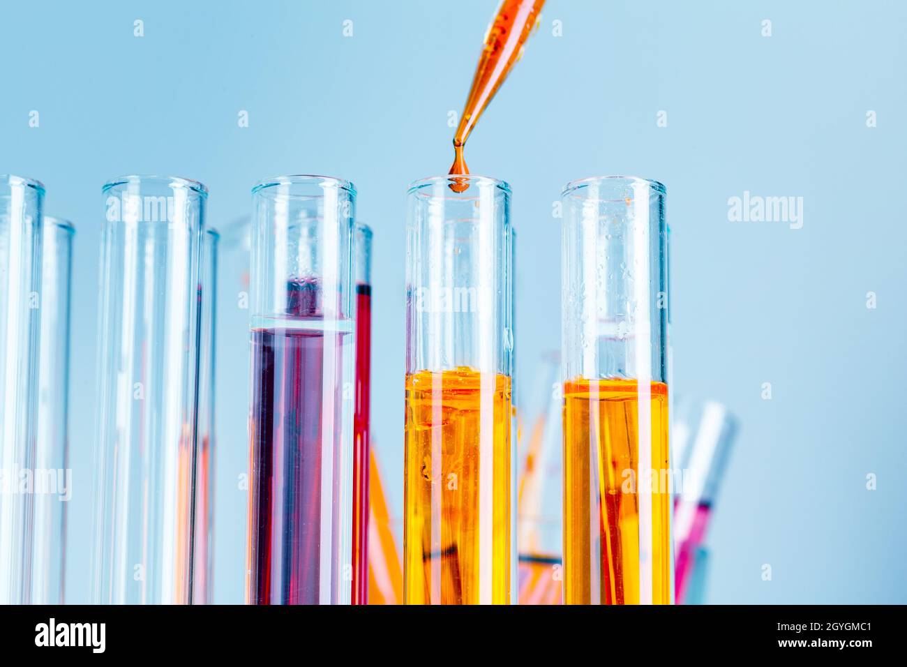 Laboratory test tubes with red and yellow liquids on light blue ...