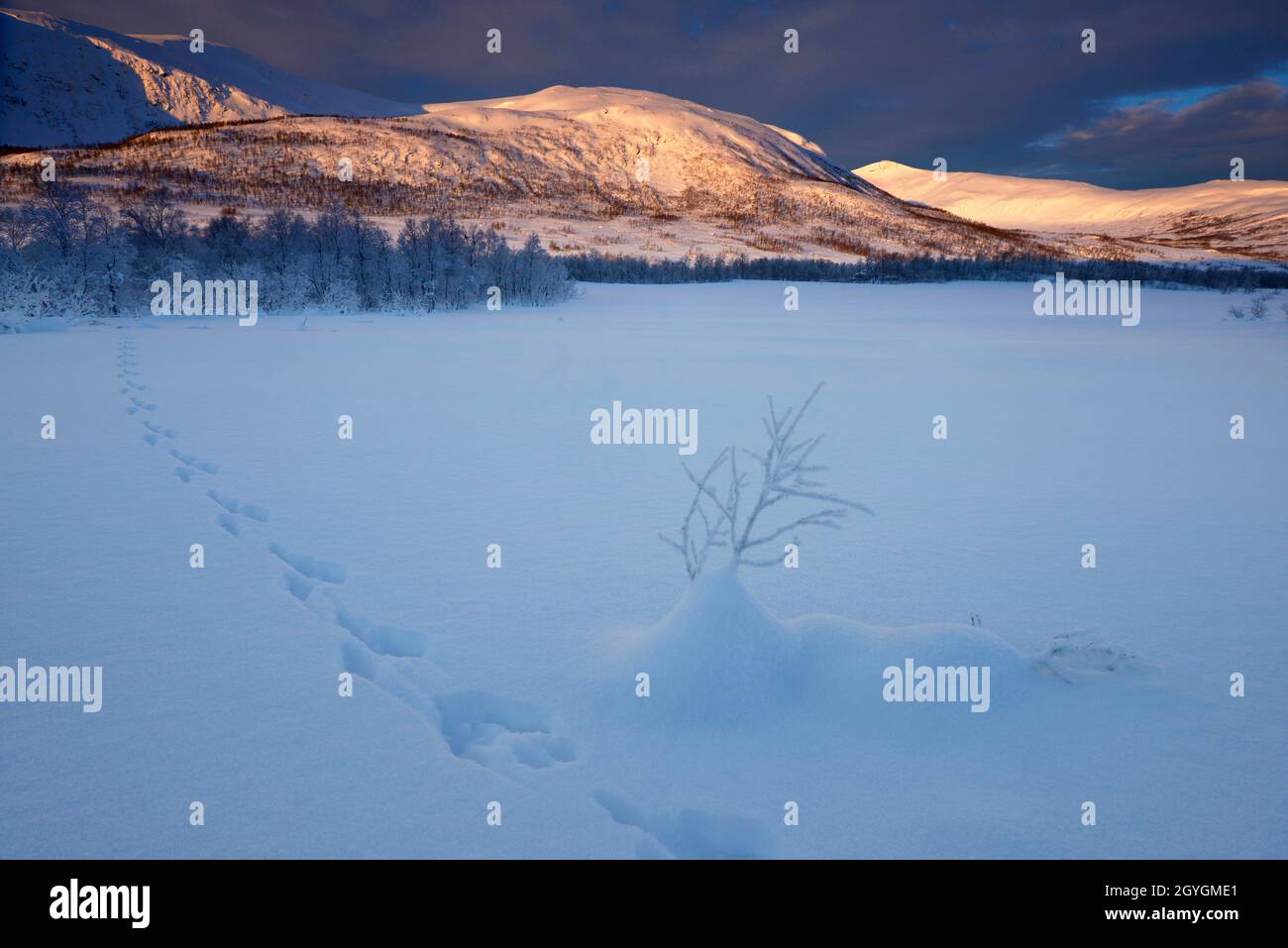 NORWAY, TROMS, TRANOY, SVANELVA, SENJA, WINTER LANDSCAPE Stock Photo ...