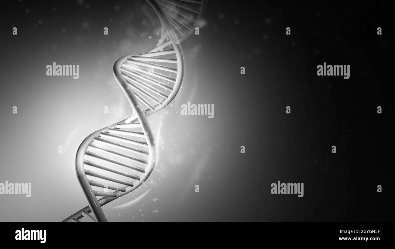 DNA double helix model in gray colors, 3D render Stock Photo - Alamy