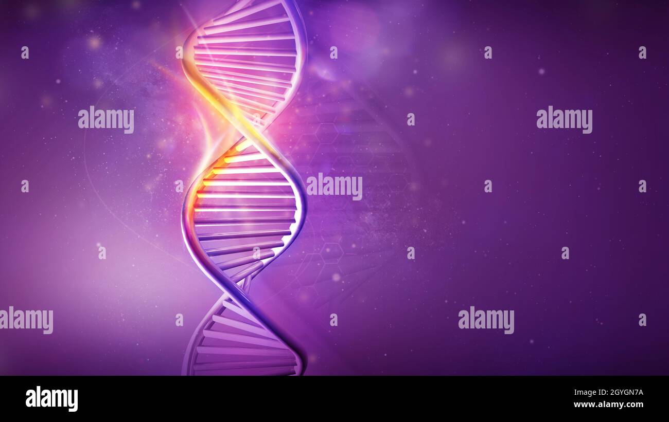 DNA helix model on a violet background, 3D render Stock Photo - Alamy