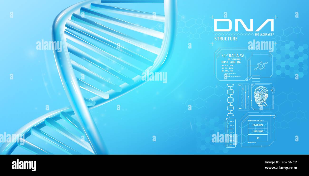 Fragment of double helix DNA with infographic elements Stock Vector ...