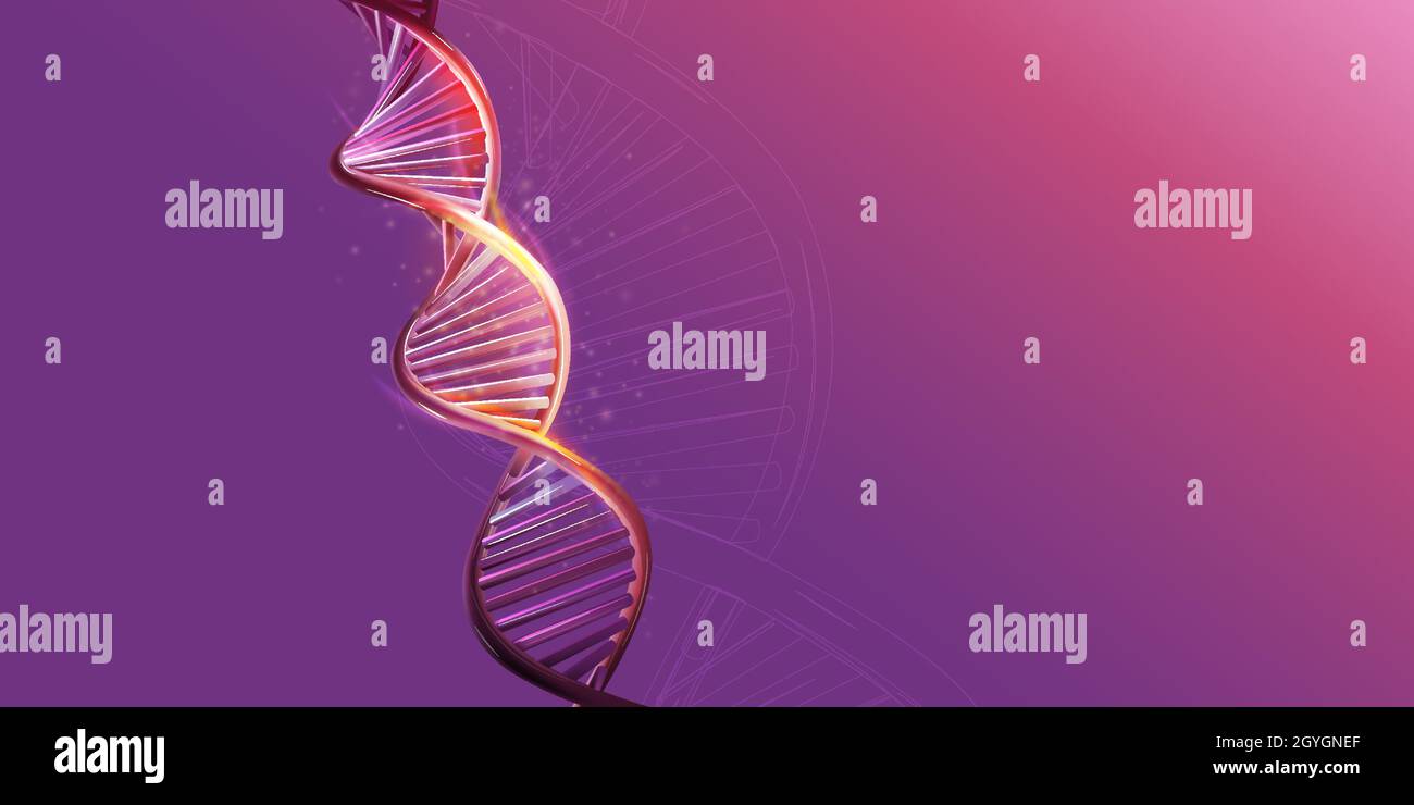 DNA double helix model on a purple background Stock Vector Image & Art ...