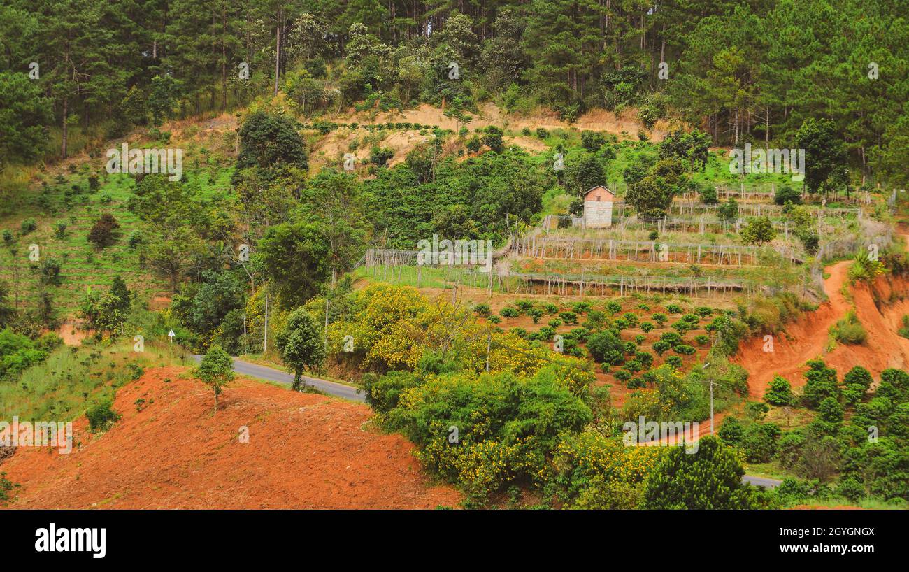 Mountain scenery of Dalat, Vietnam. Dalat is a resort city famous for ...