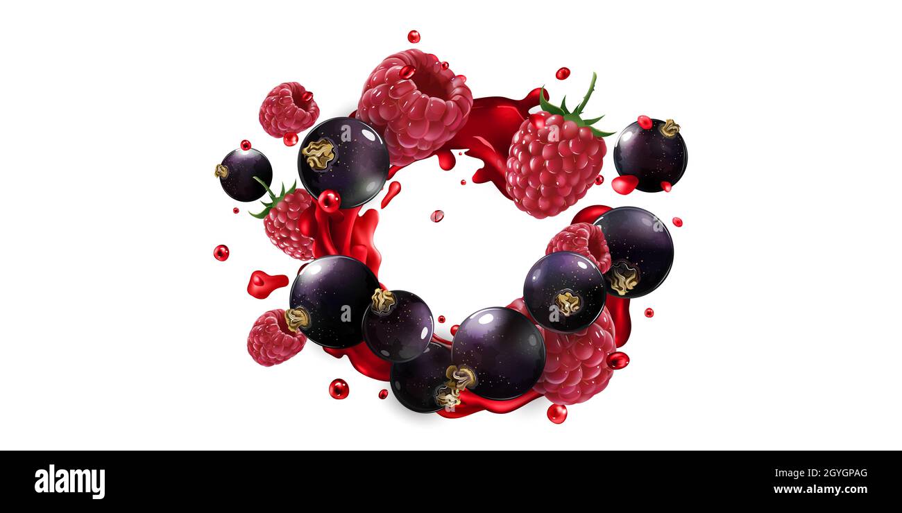 Black currants and raspberries in a splash of red fruit juice Stock ...
