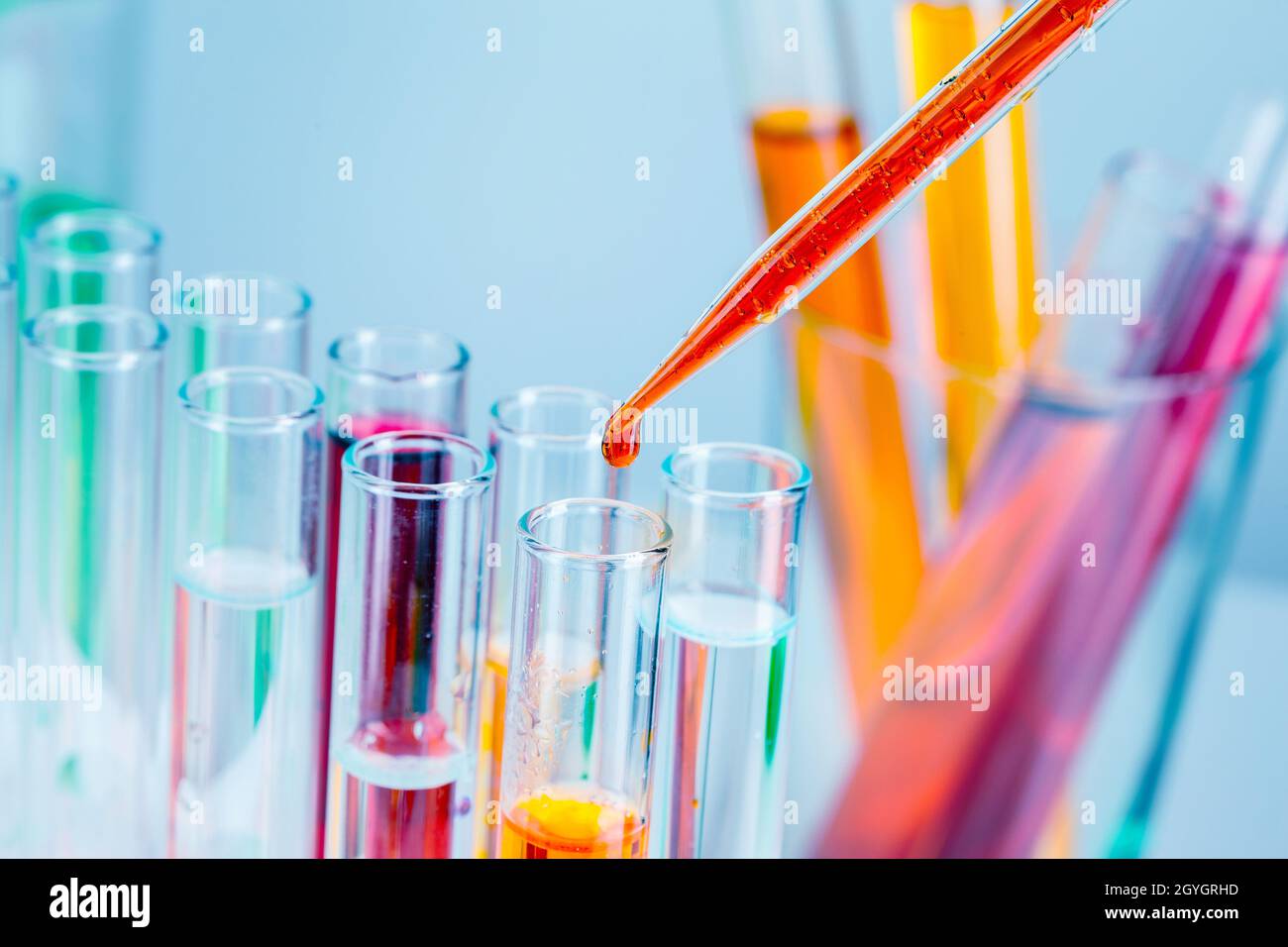 Laboratory test tubes with red and yellow liquids on light blue ...