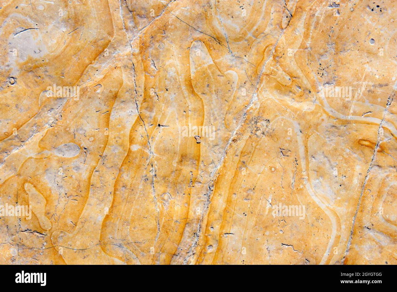 Polished limestone floor tile detail in the Church of Holy Sepulchre ...