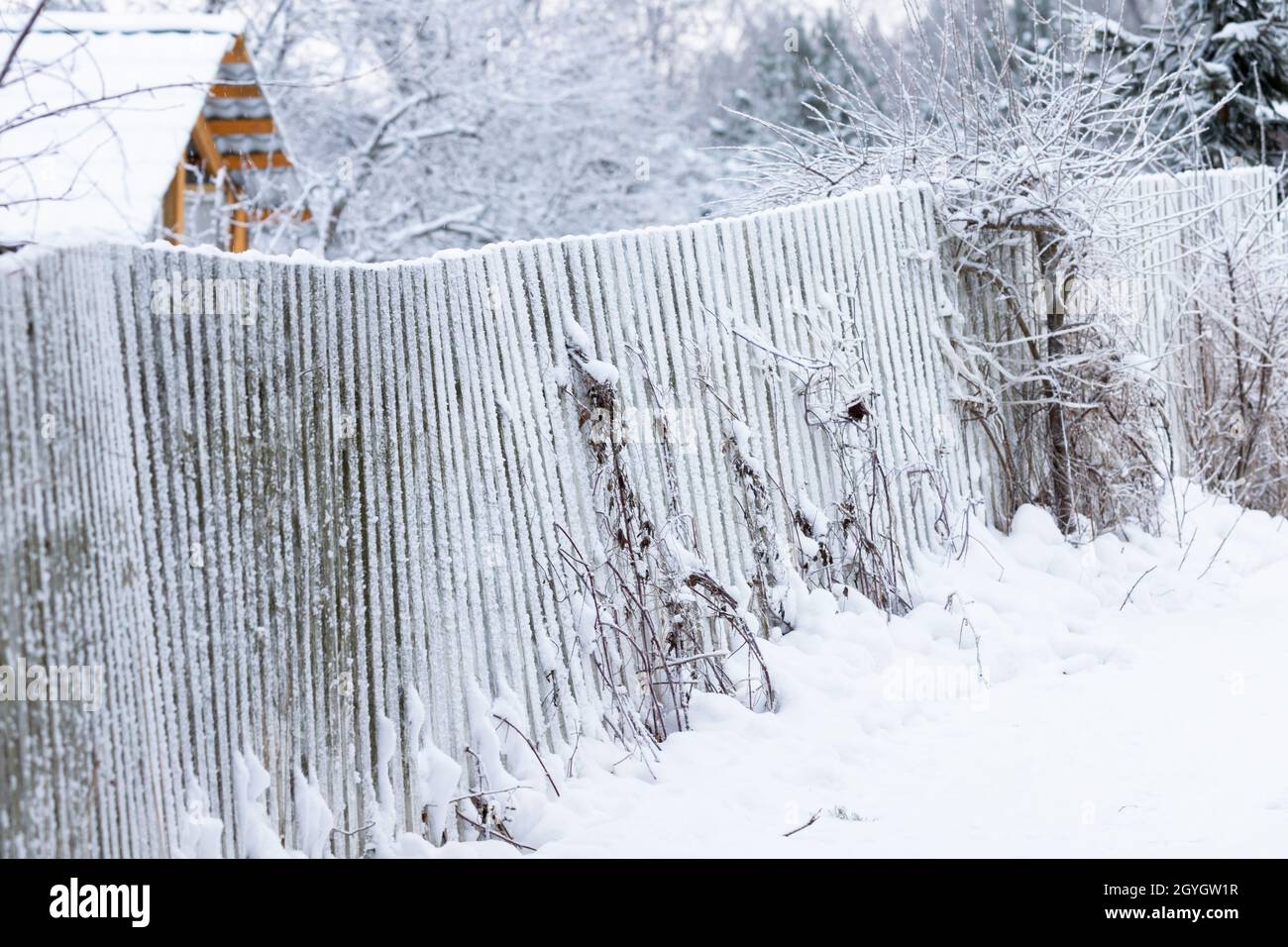 Russian winter rural landscape photo with snowy wooden fence on a ...