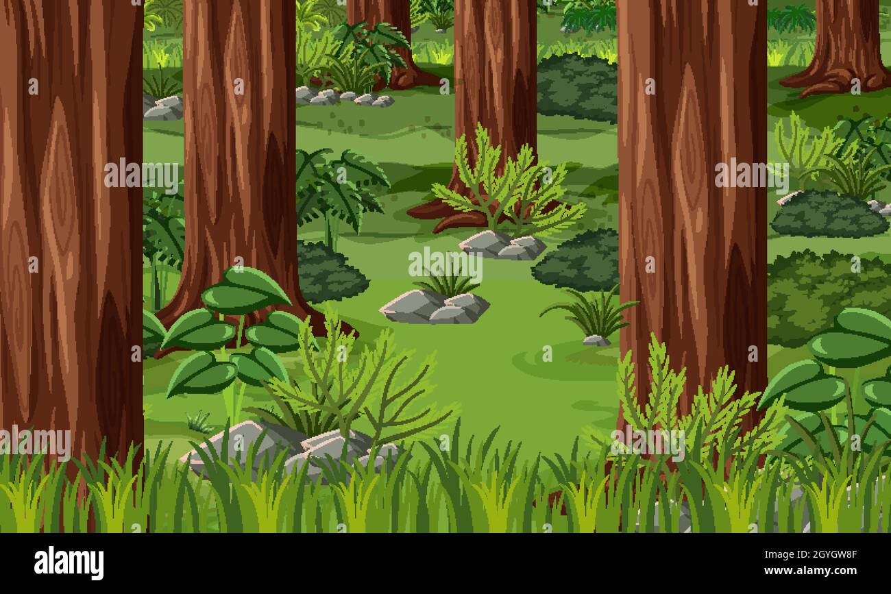 Tropical forest landscape background illustration Stock Vector Image ...