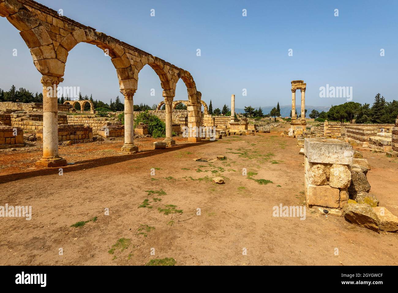 LEBANON, BEKAA, BEQAA VALLEY, RUINS OF THE UMAYYAD CITY OF ANJAR ...